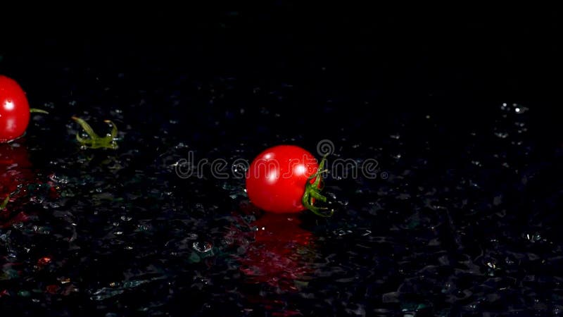 Tomatoes Falling into the Water with a Splash and Bubbles on Black ...