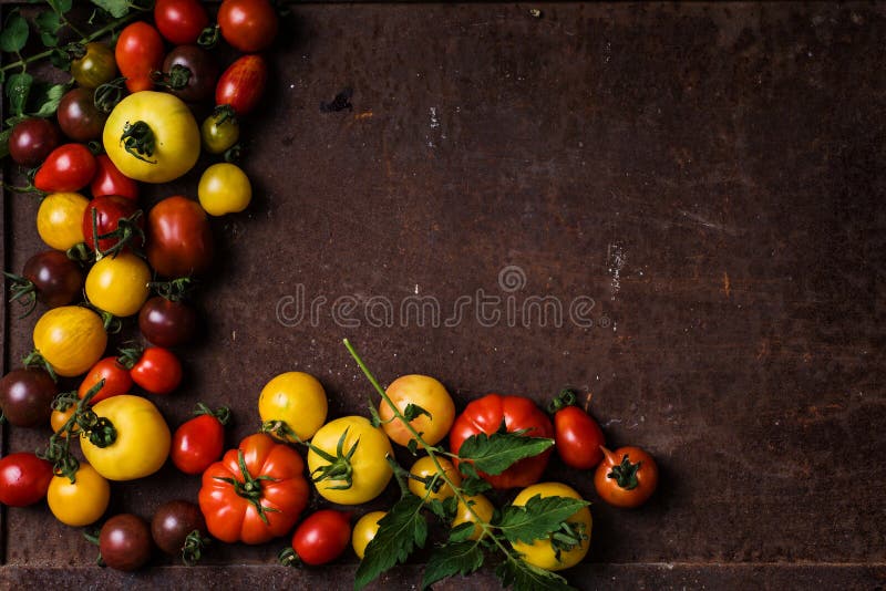 Tomatoes Frame on a Rusty Background Stock Image - Image of gardening ...