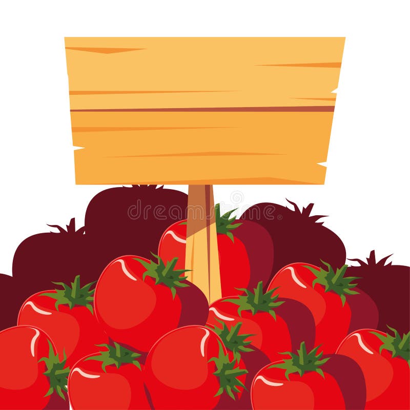 Tomatoes Fresh Vegetable Farm Wooden Placard Stock Illustration ...