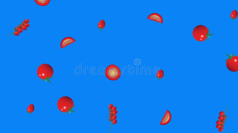 Tomatoes Group Graphic Elements Animation, Seamless Loop, Blue Screen ...