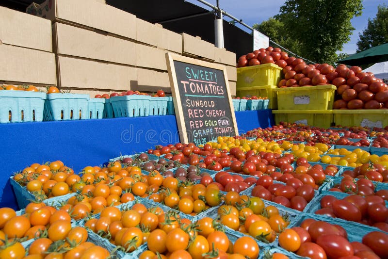 Tomatoes - Horizontal stock photo. Image of sign, employee - 6180738