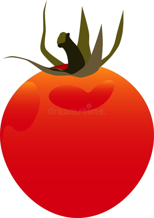 Tomato Illustration with Vector Editable Stock Illustration ...