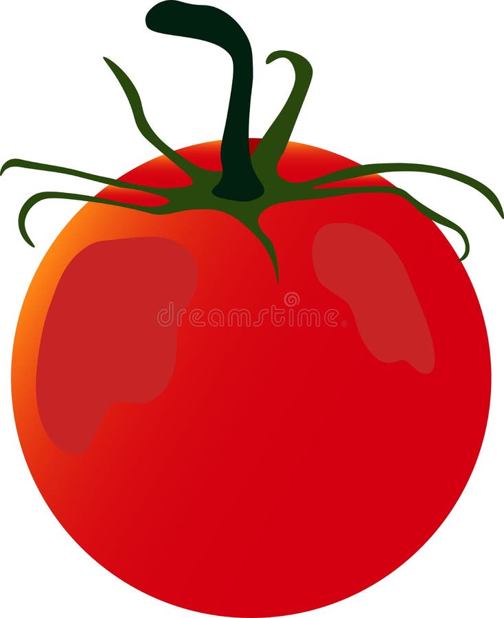 Tomato Illustration with Vector Editable Stock Illustration ...