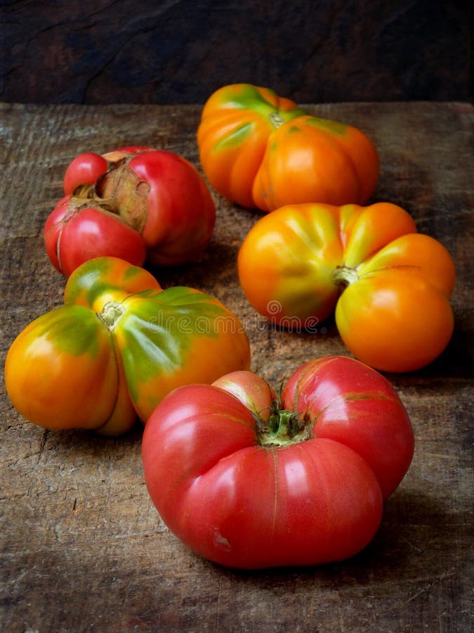 Tomatoes Irregular Shape of Different Varieties and Colors on Wooden ...