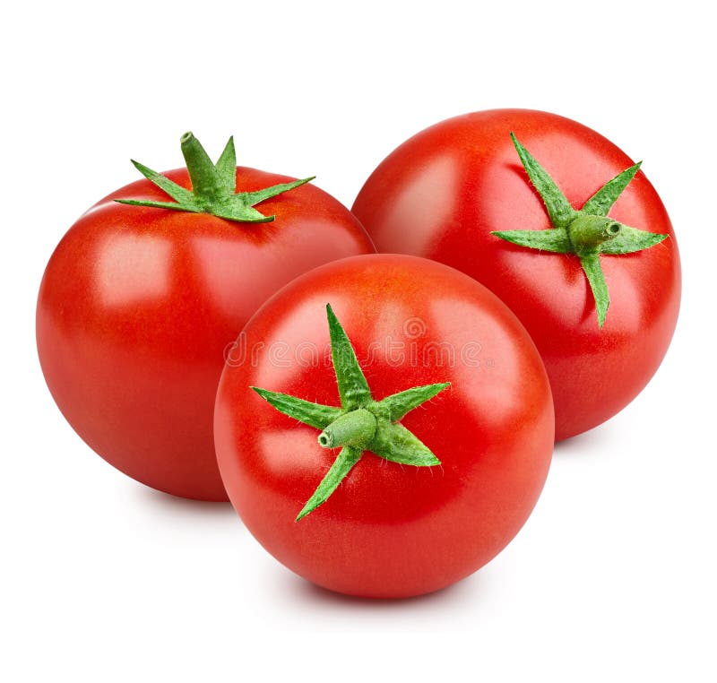 Tomatoes isolated on white stock image. Image of leaf - 90206823