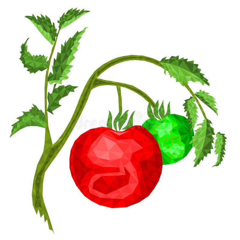 Editable Tomatoes Stock Illustrations – 194 Editable Tomatoes Stock ...