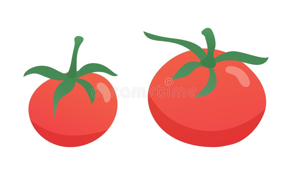 Tomatoes with Leaves Cartoon Flat Illustration. Stock Illustration ...