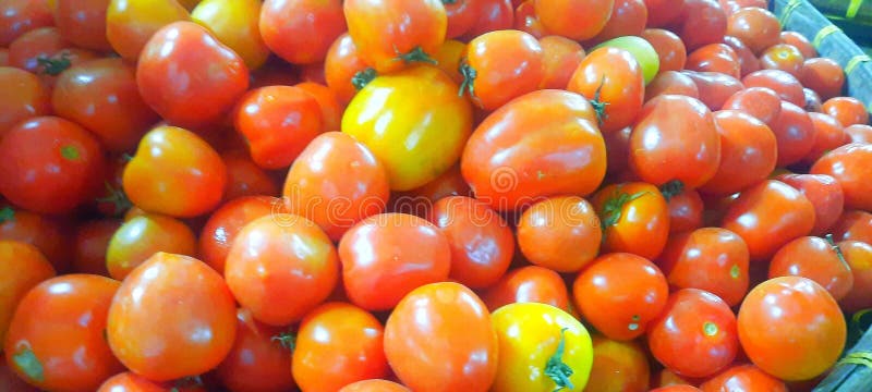 Tomatoes Lying on a Pile on Top of Each Other, Tomato Texture ...