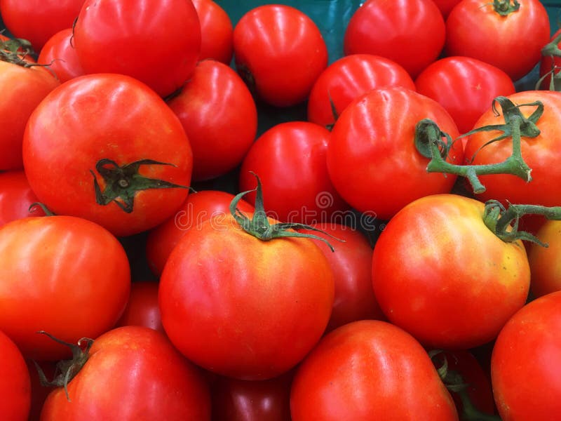 Tomatoes Lying on a Pile on Top of Each Other, Tomato Texture ...