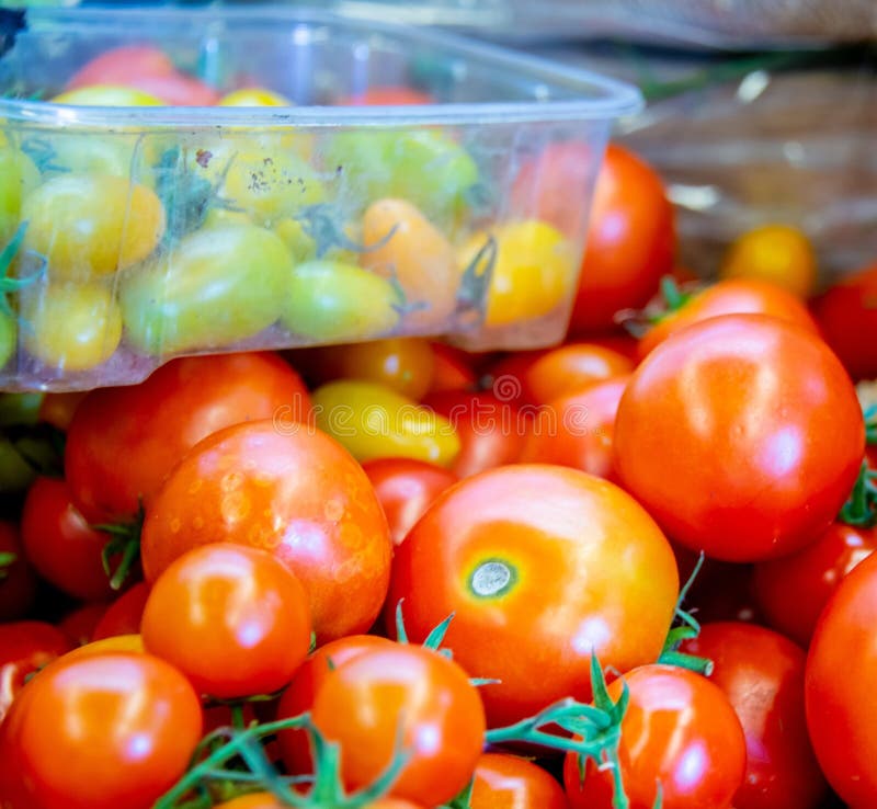 Tomatoes at the Market Display Stall Stock Photo - Image of farming ...