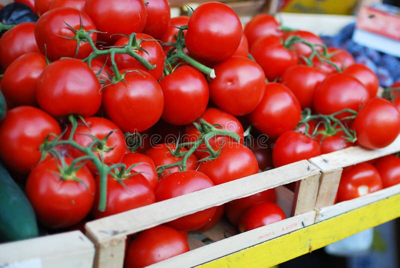 Tomatoes at a market stand stock image. Image of food - 21913035