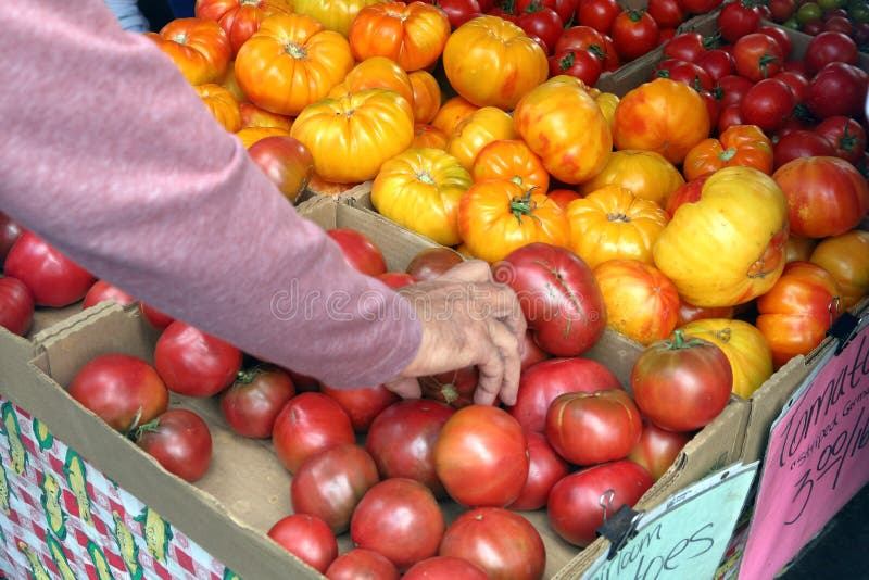 Tomatoes at open market stock image. Image of healthy - 128087777