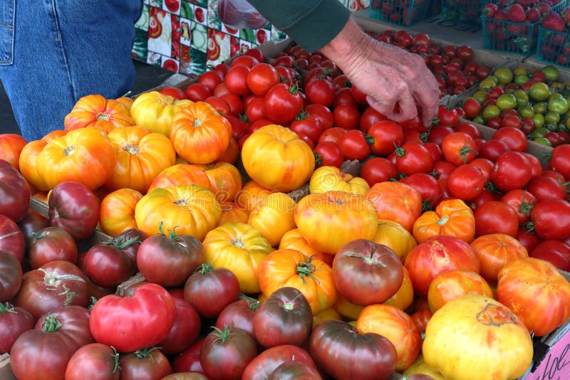 Tomatoes at open market stock image. Image of organic - 128087743