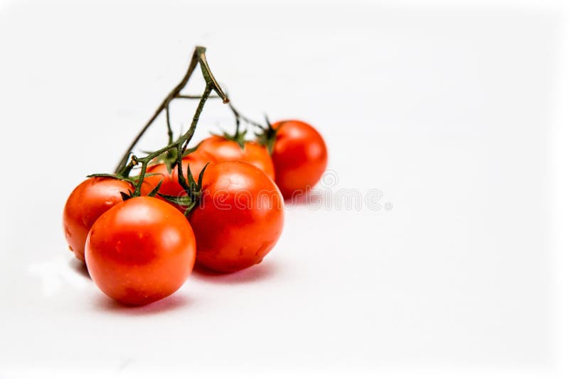 Tomatoes Pachino Small and Round Stock Image - Image of cibo, salute ...