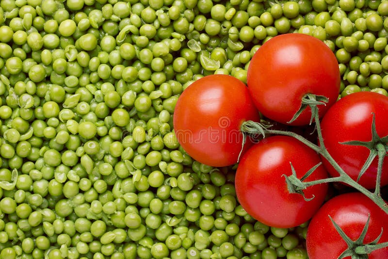 Tomatoes and Peas stock photo. Image of boiled, snack - 25568782