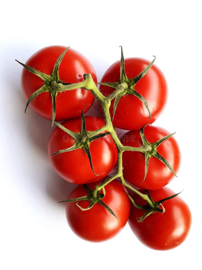 Bunch of Six Tomatoes on White Background Stock Photo - Image of diet ...