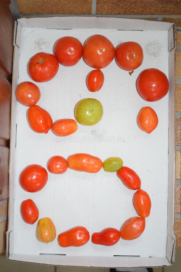 60 made from tomatoes stock image. Image of fruit, orange - 345552239