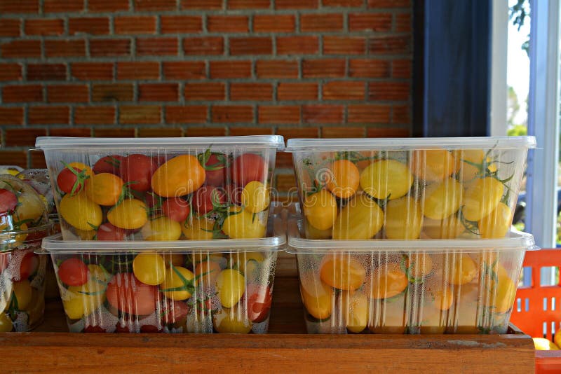 Tomatoes in a plastic box stock photo. Image of freshness - 138603370
