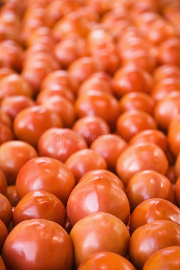 Tomatoes at Produce Market. Stock Photo - Image of food, natural: 3615036