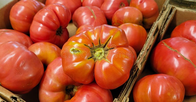 A Produce Stand Filled with a Variety of Fruits and Vegetables at a ...