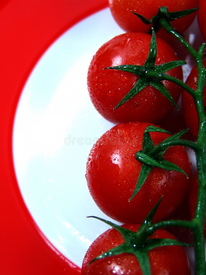 Tomatoes on red plate stock image. Image of white, freezer - 1815225