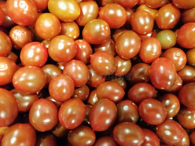 Tomatoes for sale in bulk stock photo. Image of beef - 153818590