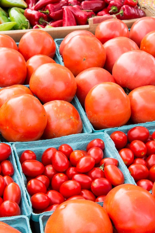 Tomatoes stock photo. Image of large, fresh, boxes, market - 33224520