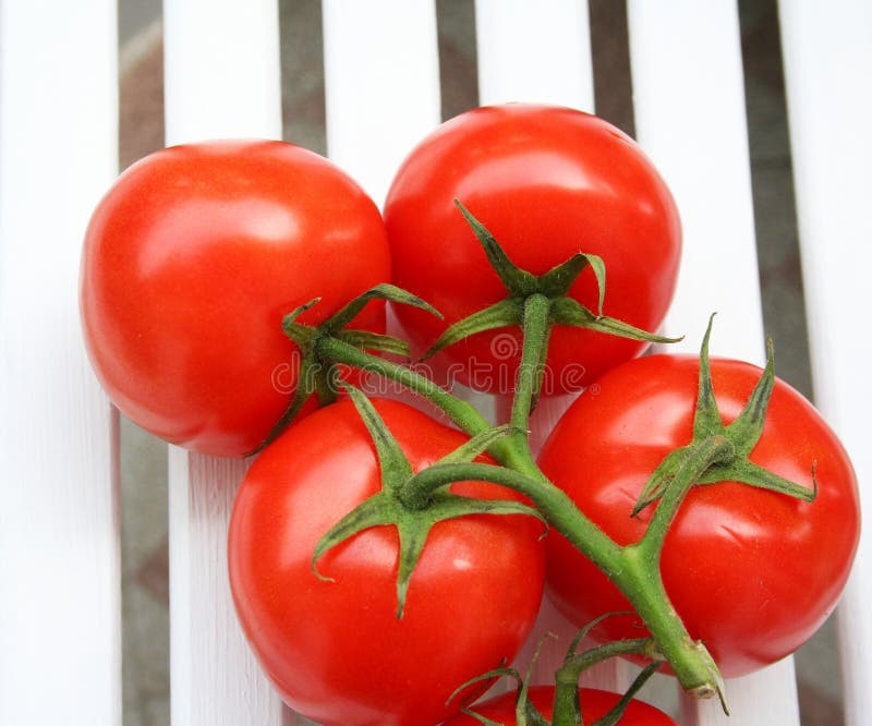 Tomatoes stock image. Image of tomato, cooking, healthy - 53907853