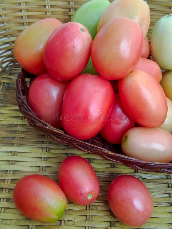 Tomatoes Sour Red Palatable. Stock Image - Image of backdrop, food ...