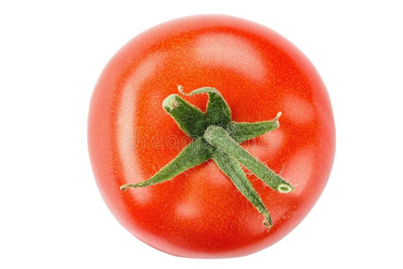 Tomatoes Top View Isolated on White Background. with Clipping Path ...