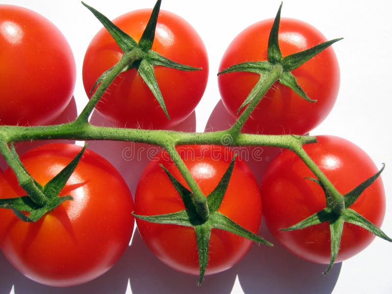 Tomatoes on the vine stock image. Image of ingredient, flavor - 206333
