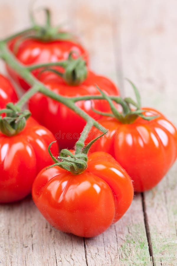 Tomatoes on vine stock photo. Image of wood, organic - 31532996