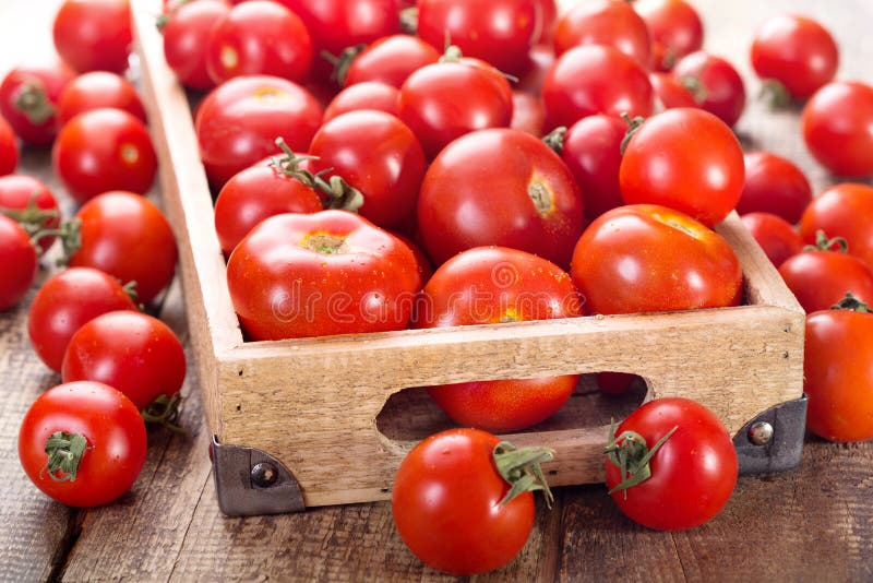 Tomatoes in a wooden box stock photo. Image of agriculture - 56310626