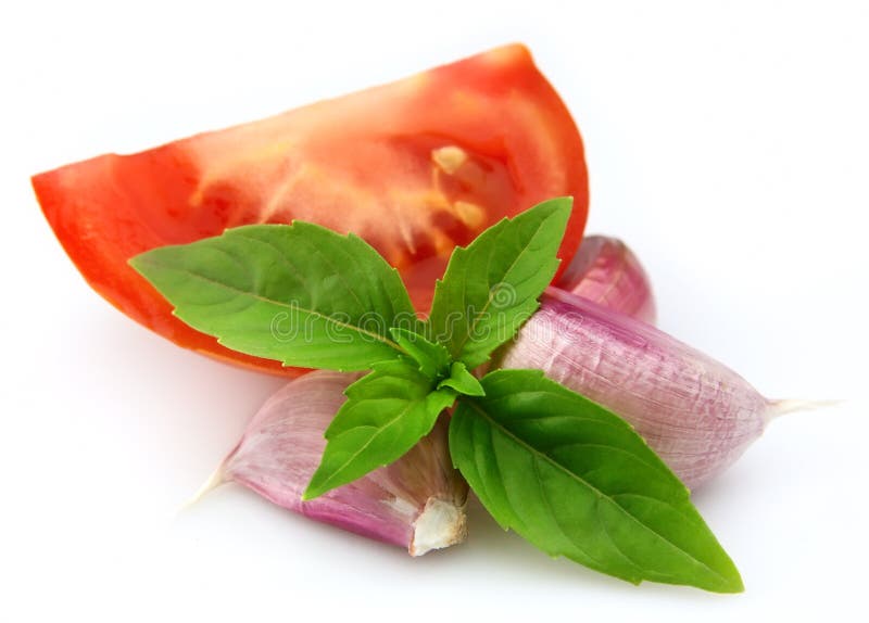 Tomatos with Garlic and Basill Stock Photo - Image of garlic, drops ...