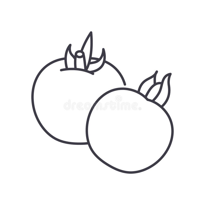 Tomatos Icon, Black Vector Sign with Editable Strokes, Concept ...