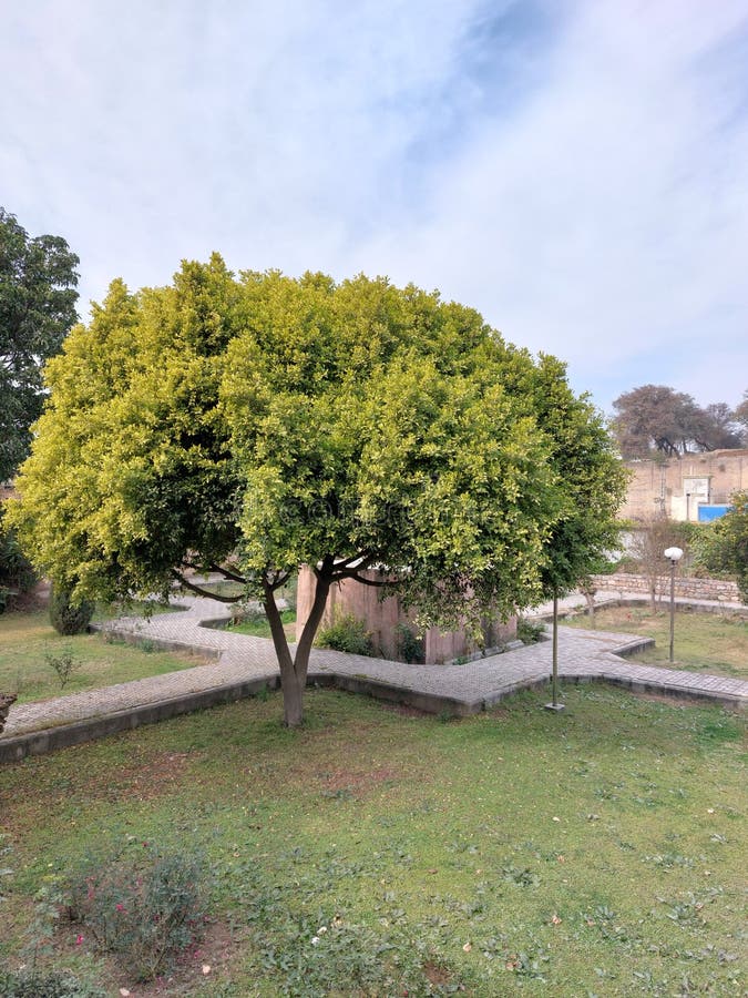 Tomb of Lala Rukh, Daughter of Mughal Emperor Akbar Stock Image - Image ...