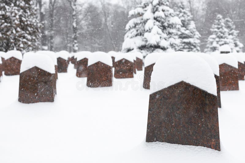 Tombstone in a Cemetery Covered with Snow in Winter. Stock Image ...