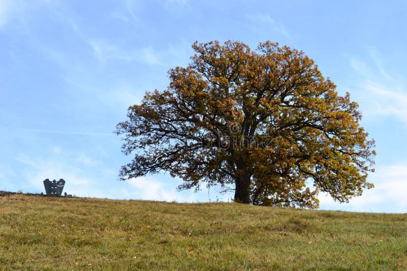 Tombstone and a Tree on a Hill Stock Image - Image of grass, hill ...