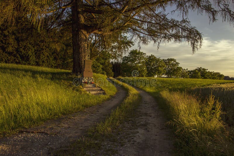 A Tombstone Under a Dying Tree Stock Image - Image of nopeople ...