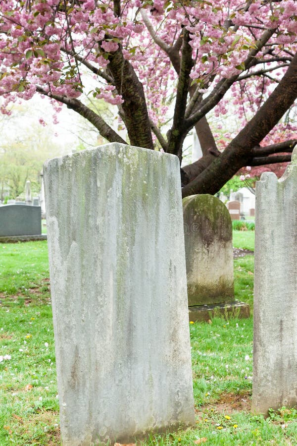 Tombstones with Cherry Tree Stock Image - Image of decay, death: 91630401