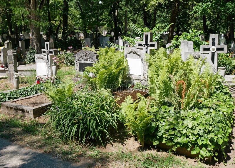Tombstones in the Public Cemetery Editorial Photo - Image of debrecen ...