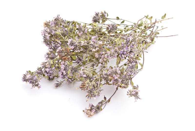 Tomillo seco imagen de archivo. Imagen de salud, cubo - 16628605