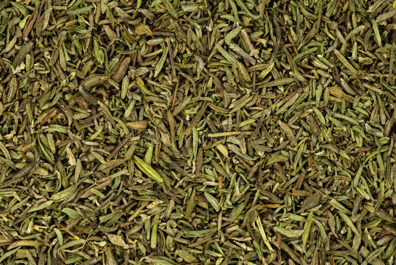 Tomillo seco imagen de archivo. Imagen de picante, primer - 18768795