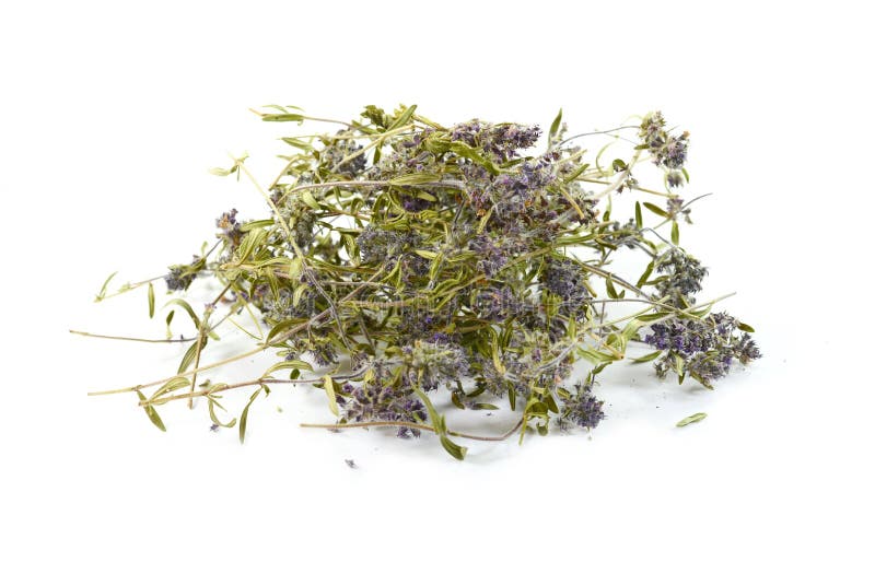 Tomillo Seco Aislado En Fondo Blanco Imagen de archivo - Imagen de ...