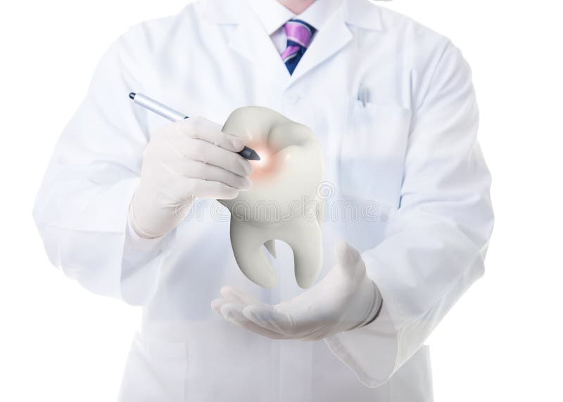 Dental Pulp Protection Stock Photos - Free & Royalty-Free Stock Photos ...