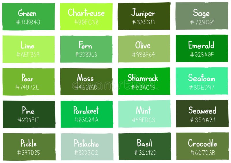 Tone Color Shade Background Verte Avec Le Code Et Le Nom Illustration ...
