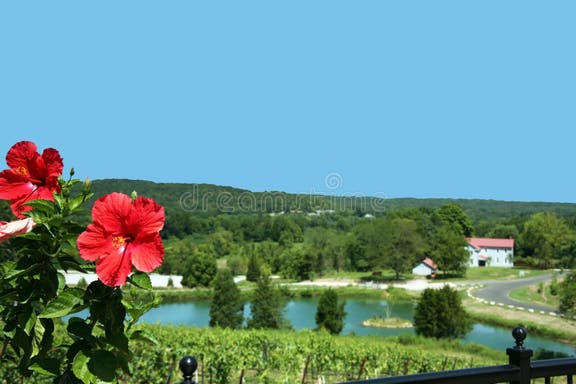 Toneel stock foto. Image of landschap, huis, hout, toneel - 8860986