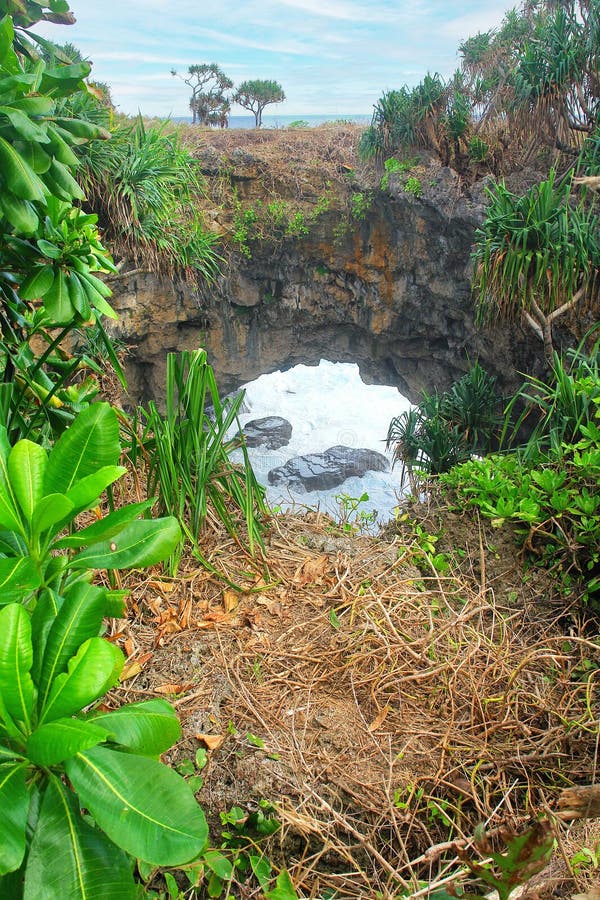 Tonga - Eua Natural Rock Arch on Pacyfic Stock Photo - Image of arch, volcanic: 386874518
