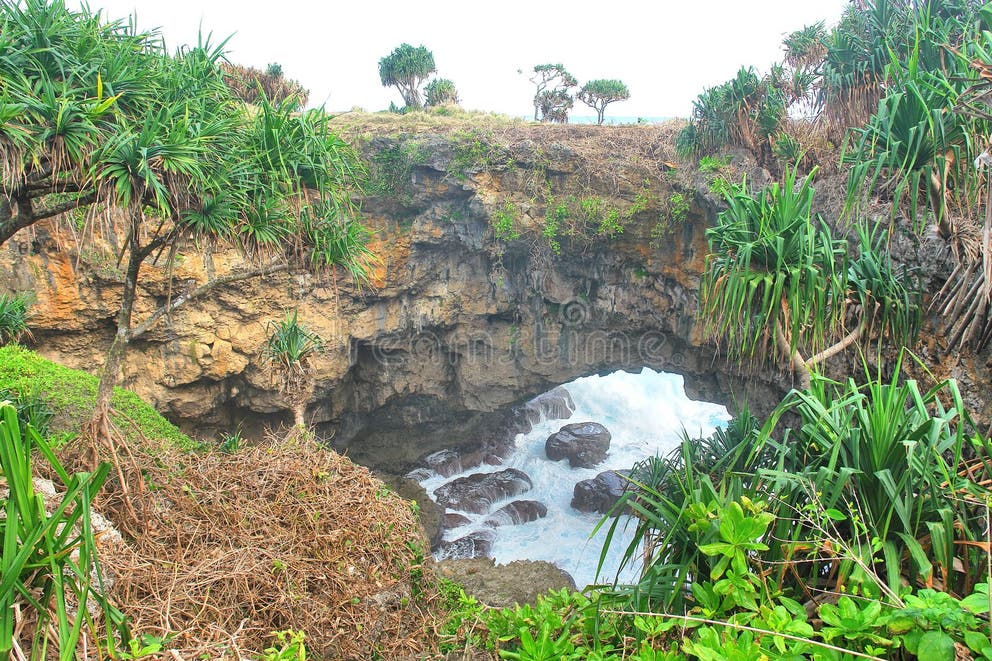 Tonga - Eua Natural Rock Arch on Pacyfic Stock Photo - Image of ...