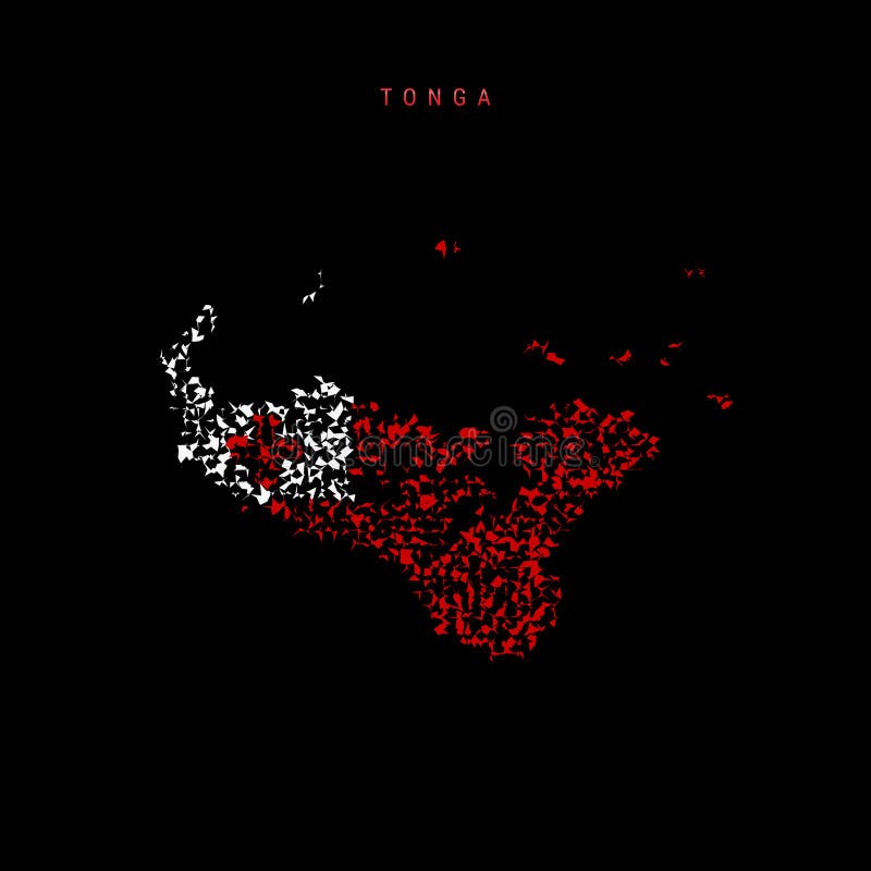 Tonga Flag Map, Chaotic Particles Pattern in the Tongan Flag Colors ...